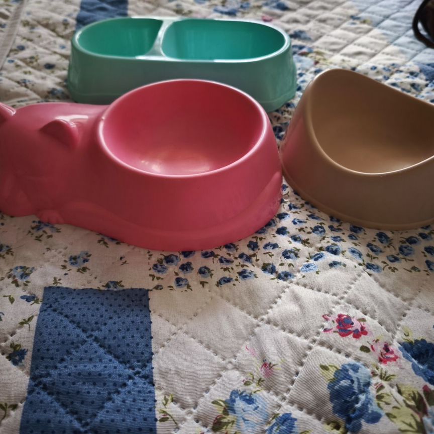 Чашка для кошки