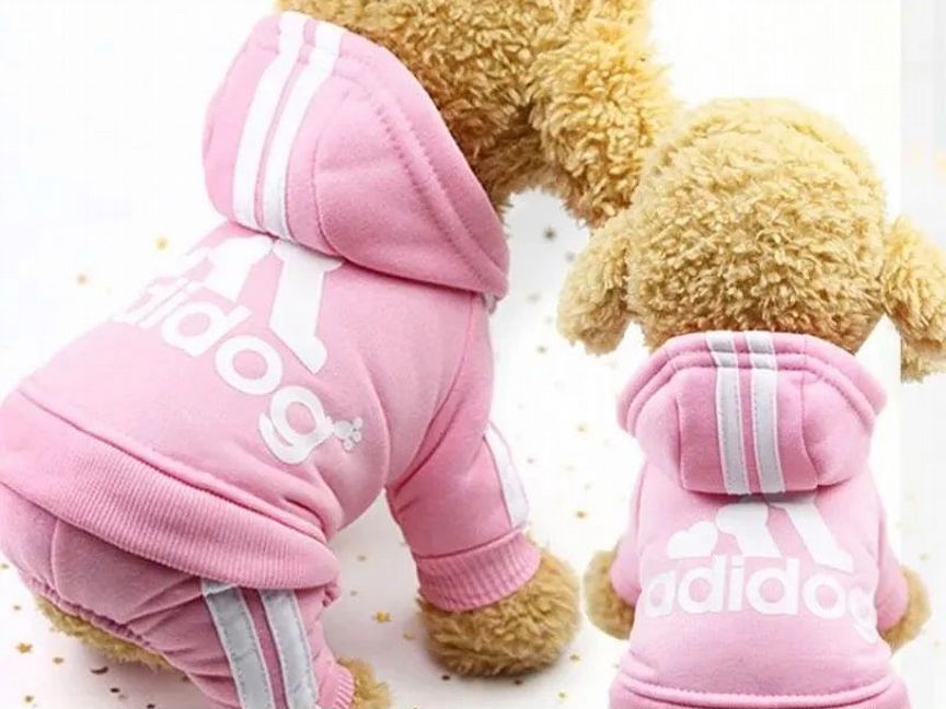 Новая одежда для собак XS и S