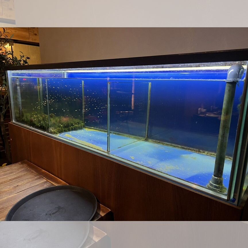 Аквариум