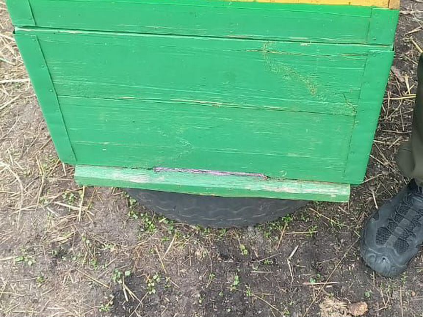 Улей для пчел бу