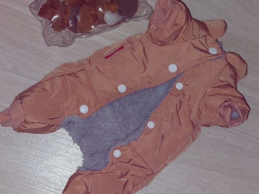 Одежда для собак