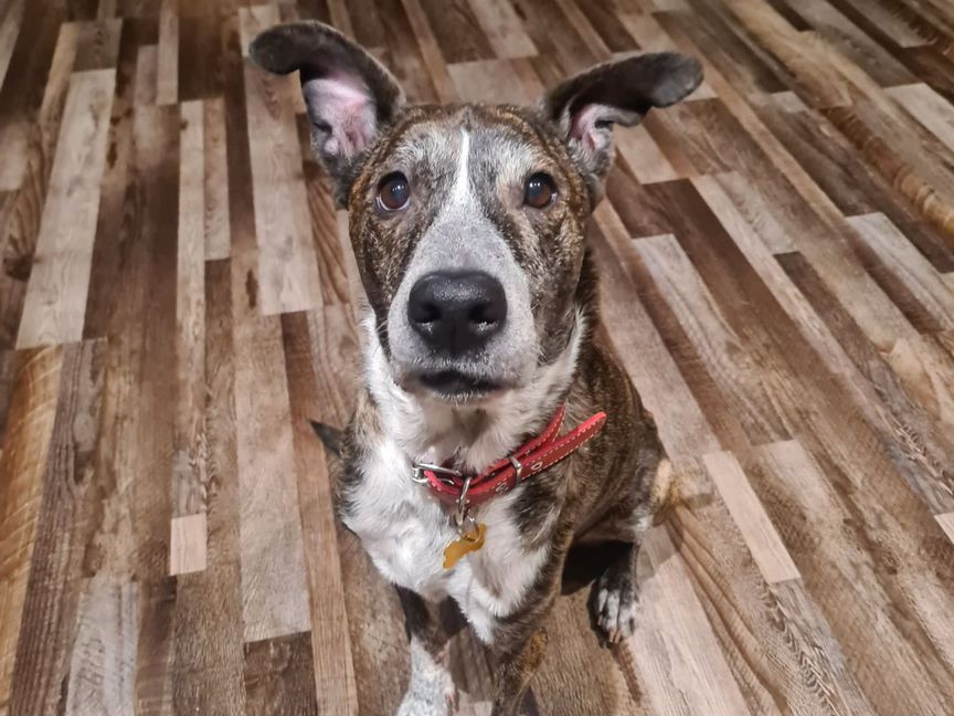 Милке очень нужна семья