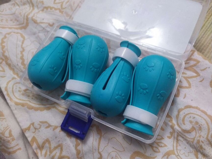 Защитная обувь для кошек от царапин