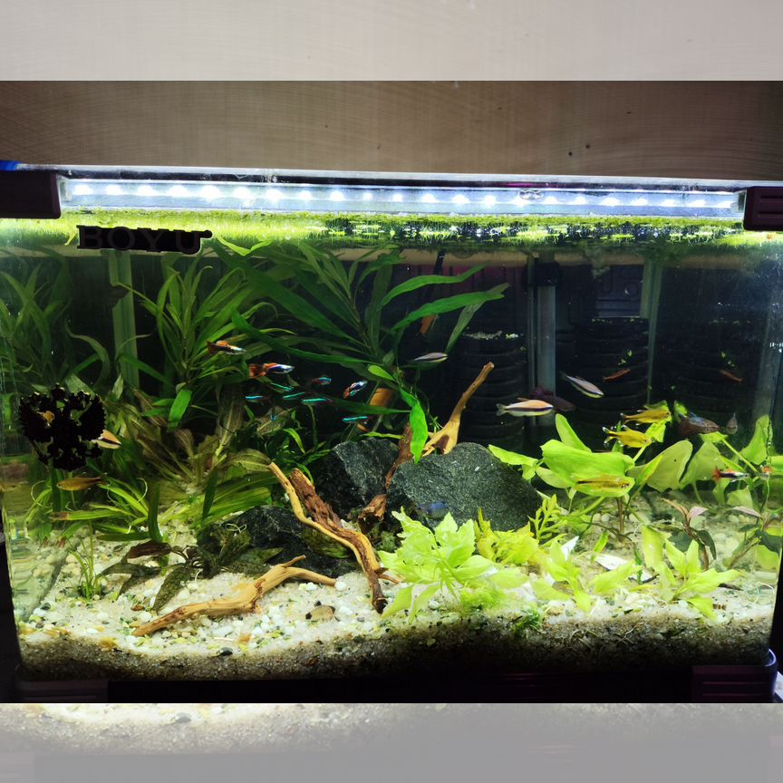 Аквариум 40л Bouy панорамный