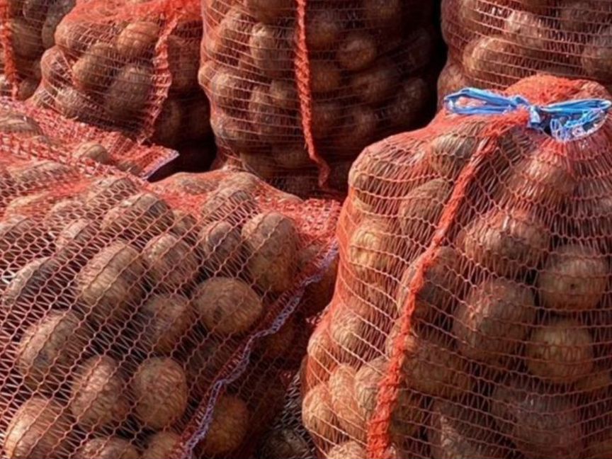 Продам картофель оптом