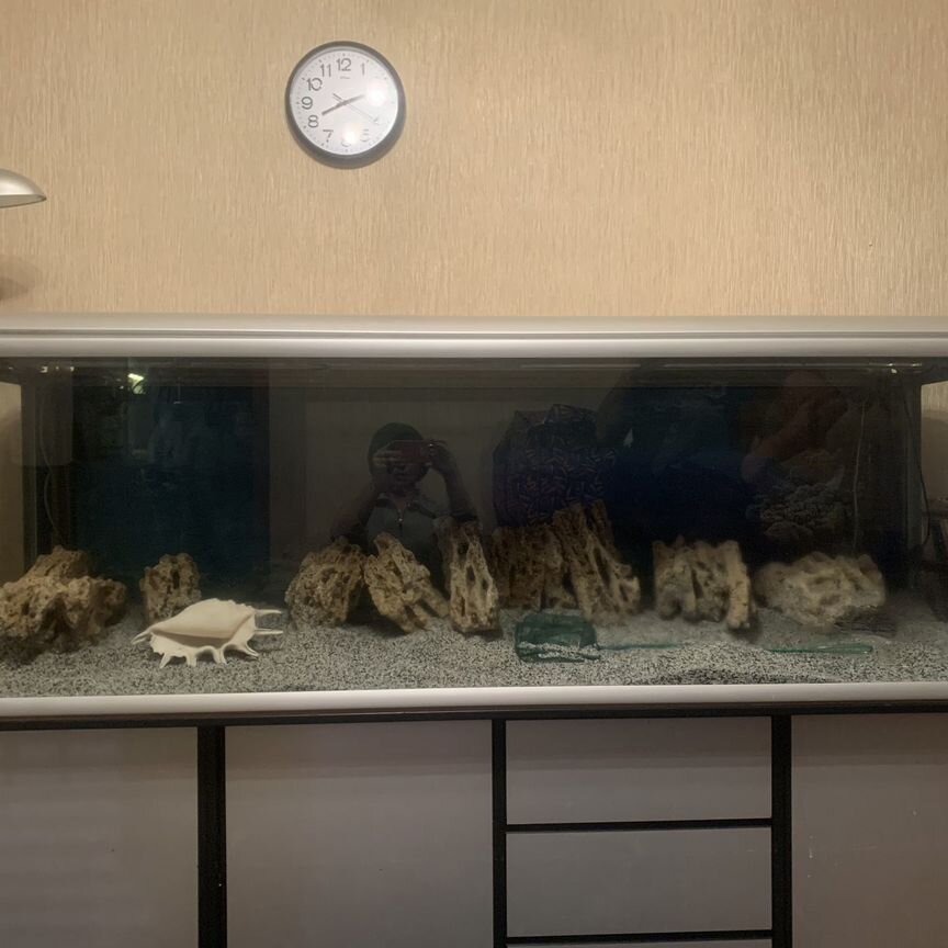 Морской аквариум с оборудованием