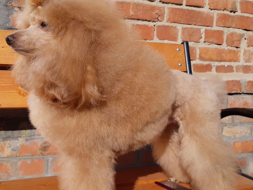 Подарок ко дню влюбленных