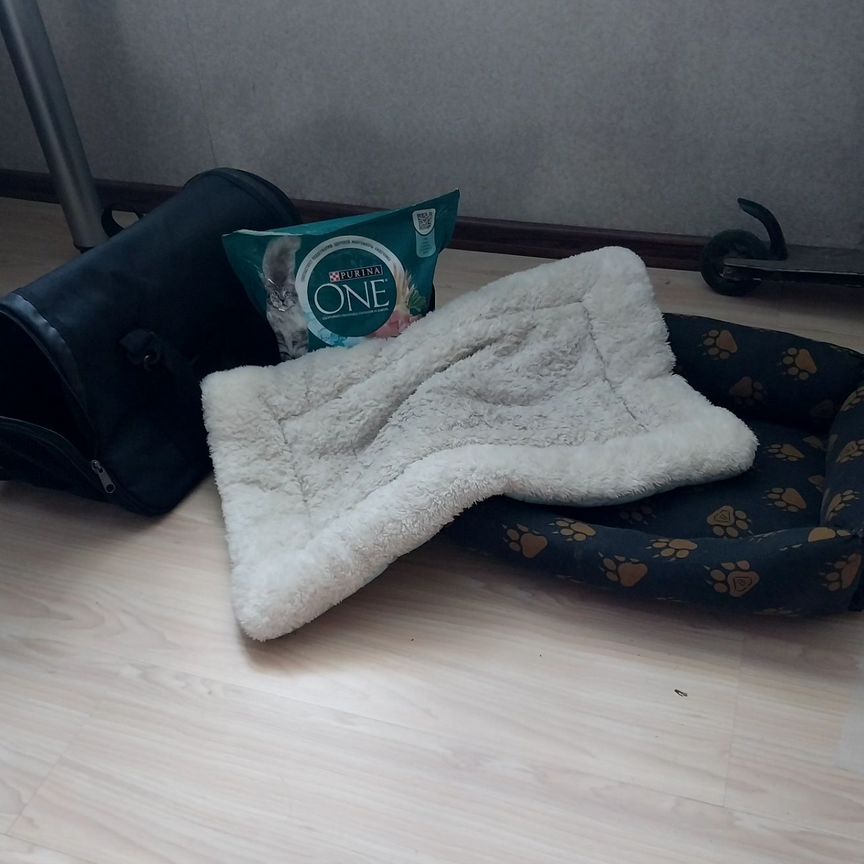 Принадлежности для кошки