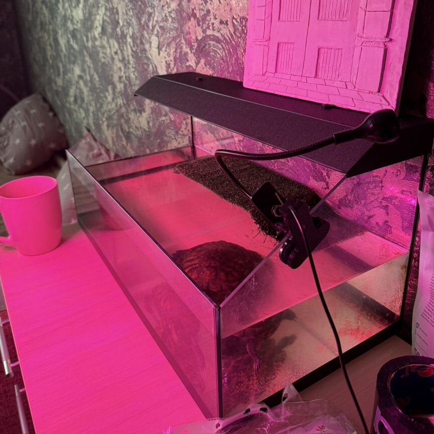 Аквариум террариум на 60 литров