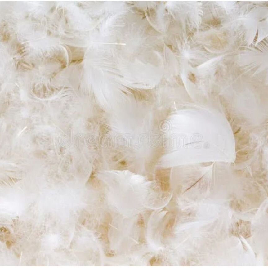 Перо Пух белое гусиное