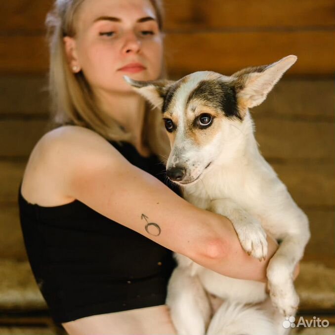 Девочка щенок живет в приюте. Нужен дом