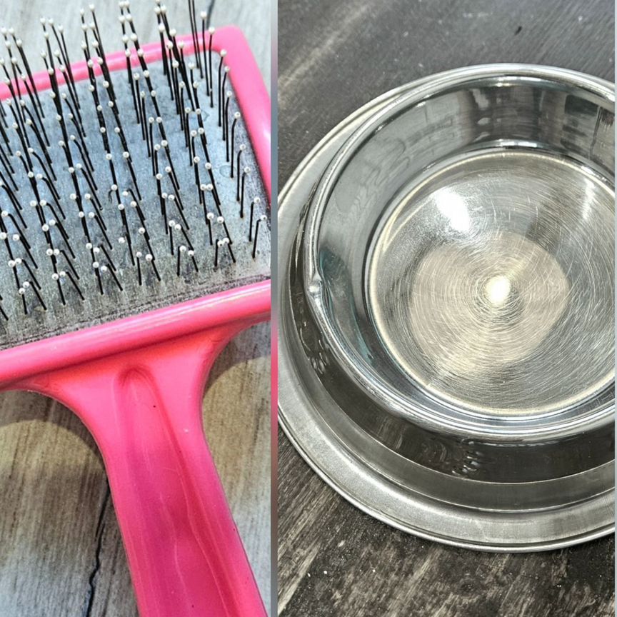 Расческа пуходерка и миска для кошек собак пакетом