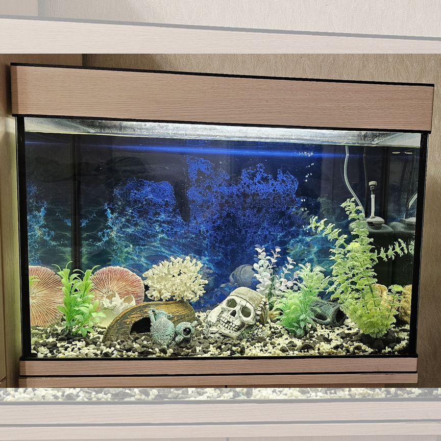 Аквариум 80 литров с тумбой и наполнением