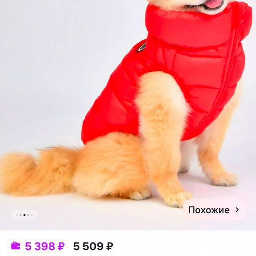 Комбинезон для собаки Puppia