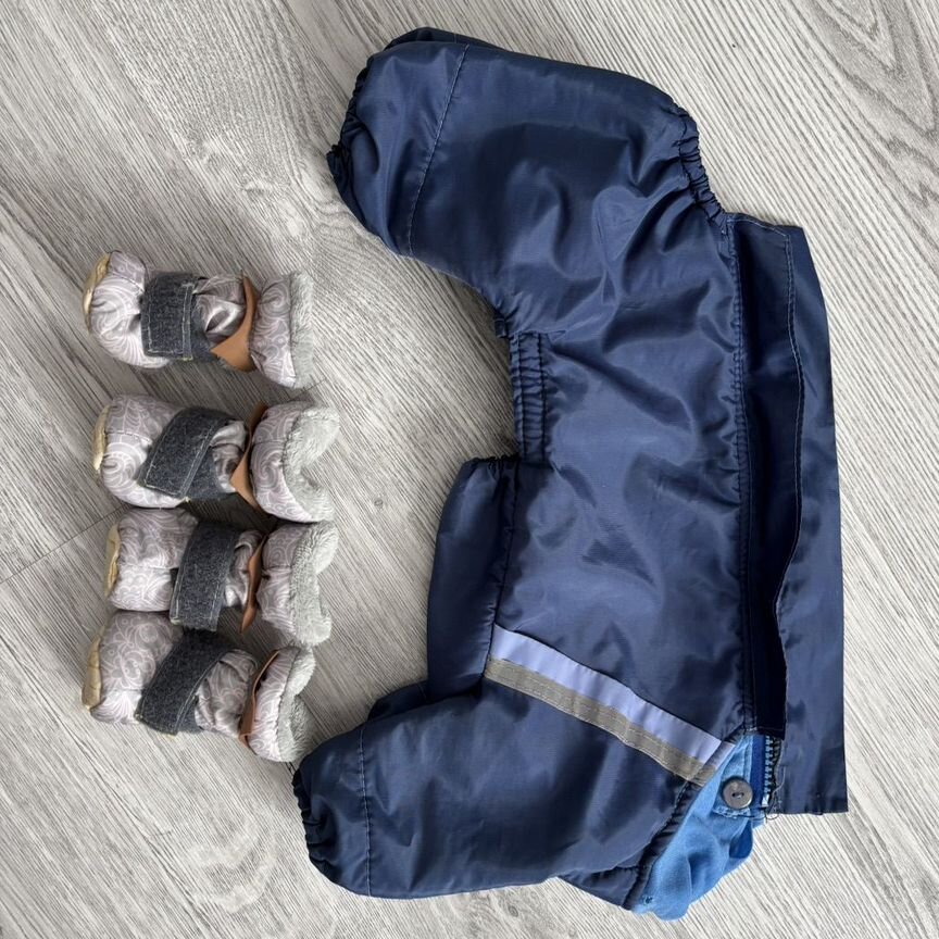 Одежда для маленьких собак