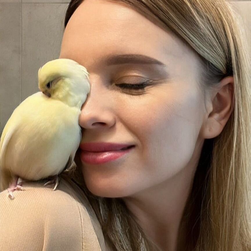 Попугай какарик белый ручной самочка