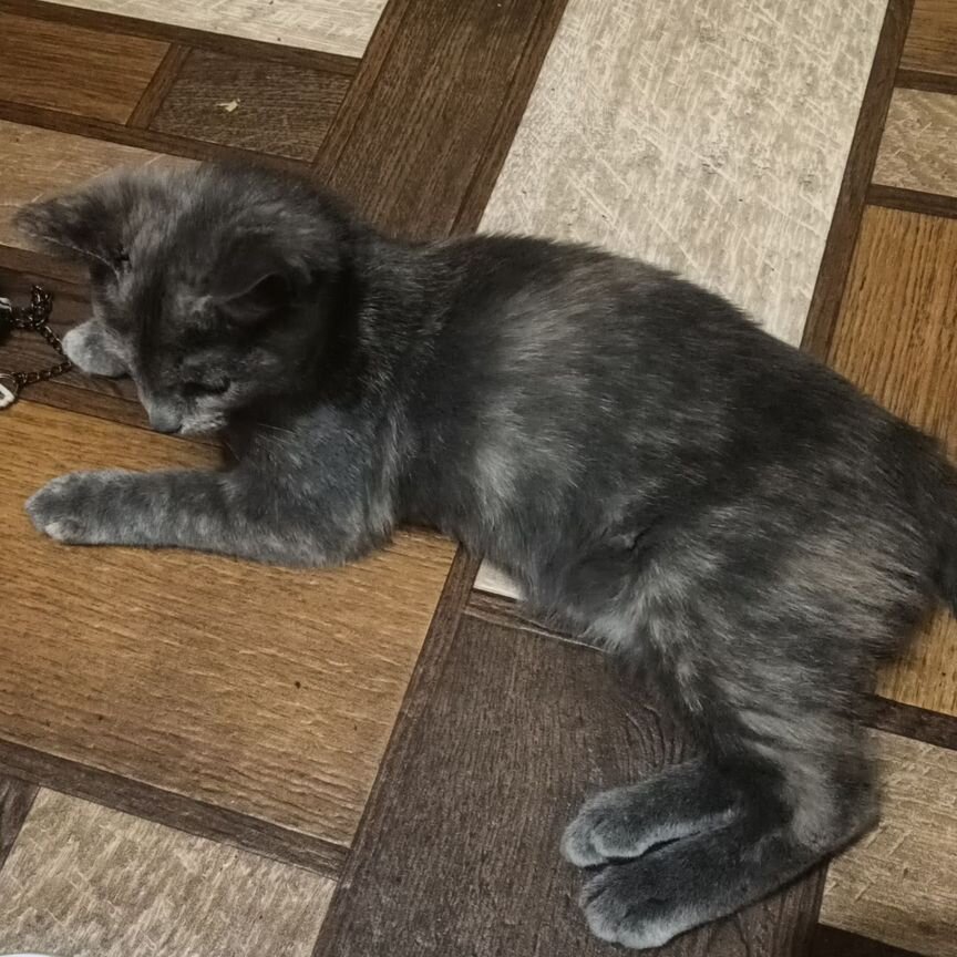 Девочка в хорошие руки