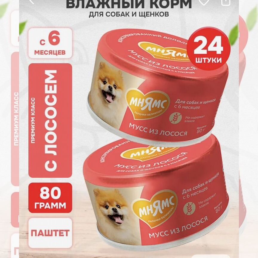 Мусс из лосося мнямс