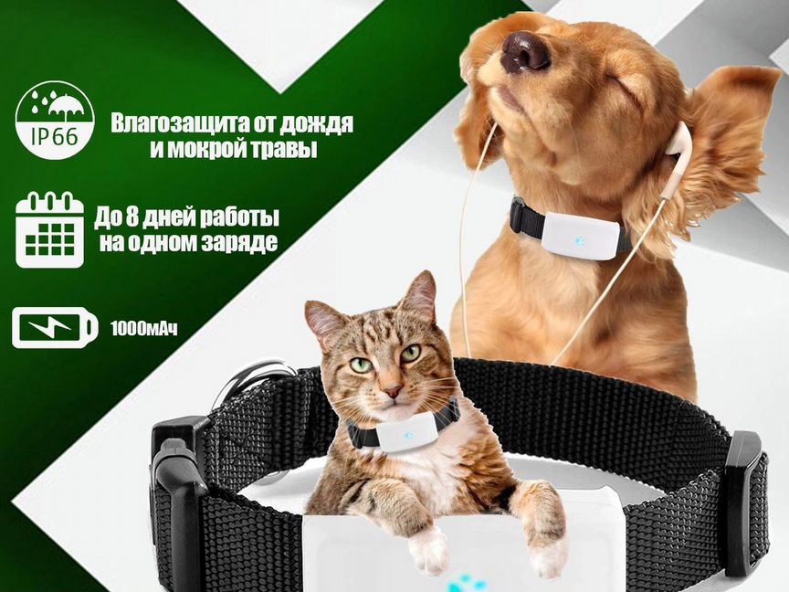 Gps ошейник для животных