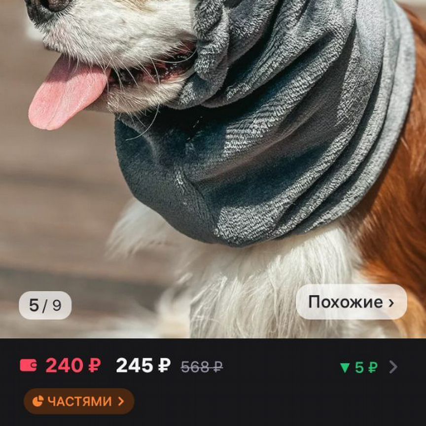 Снуд для собаки