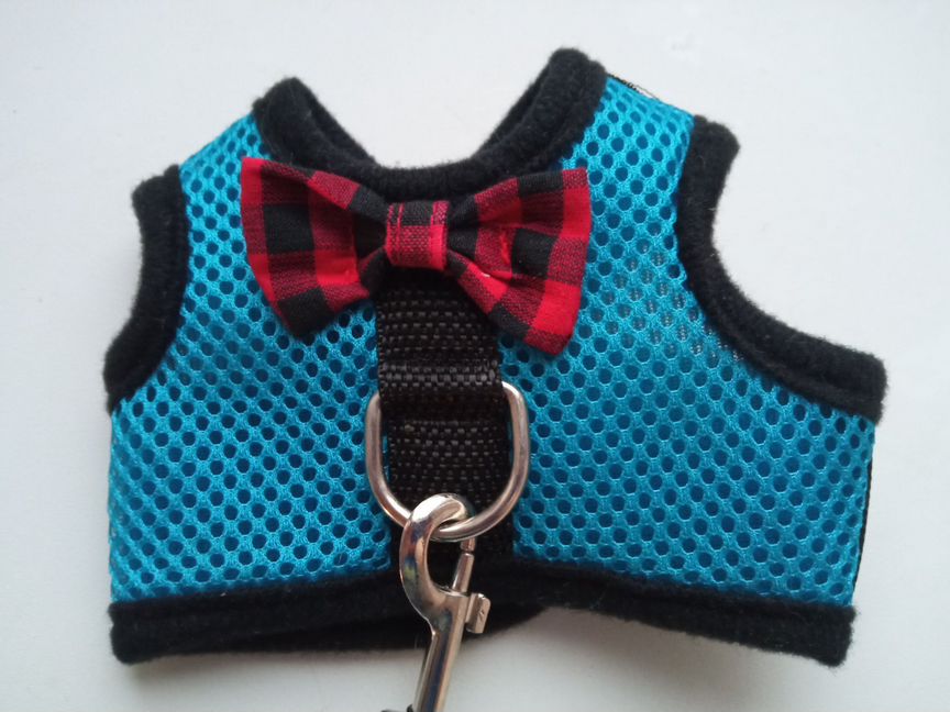 Шлейка жилетка с бантом для свинки, крысы, котёнка