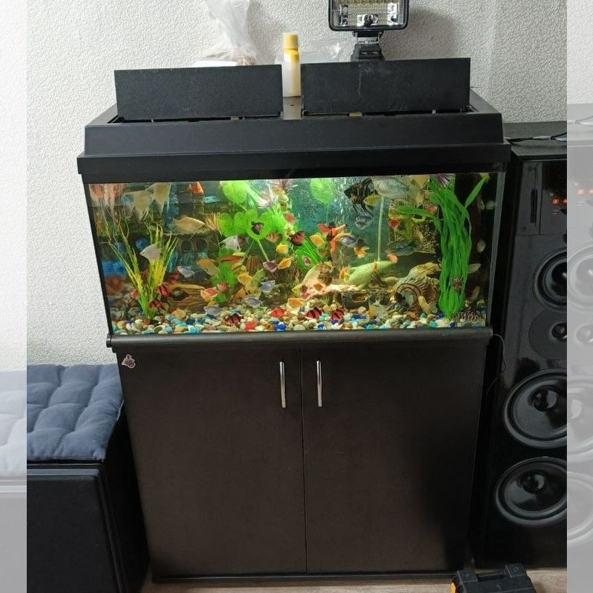 Аквариум с тумбой