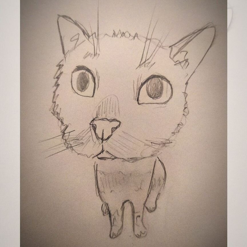 Рисую ваших питомцев