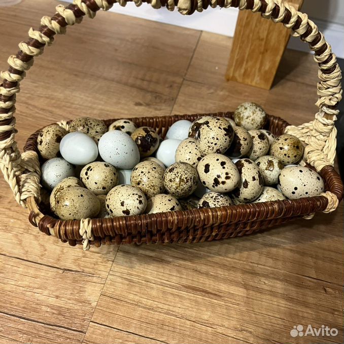 Яйца перепелиные инкубационное