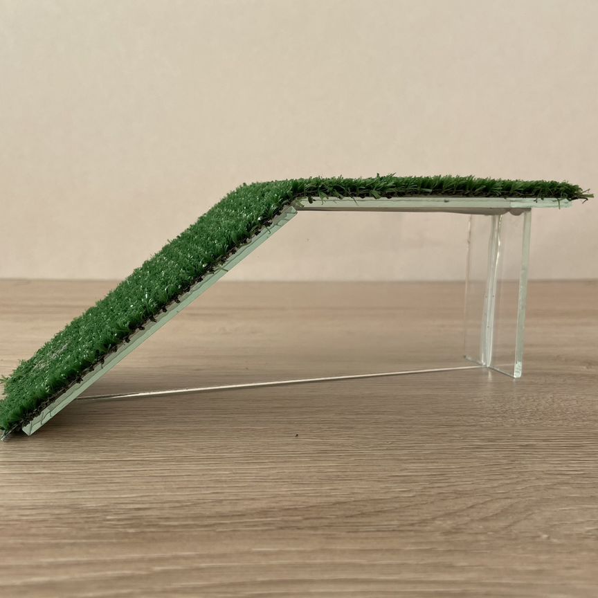 Мостик для черепахи