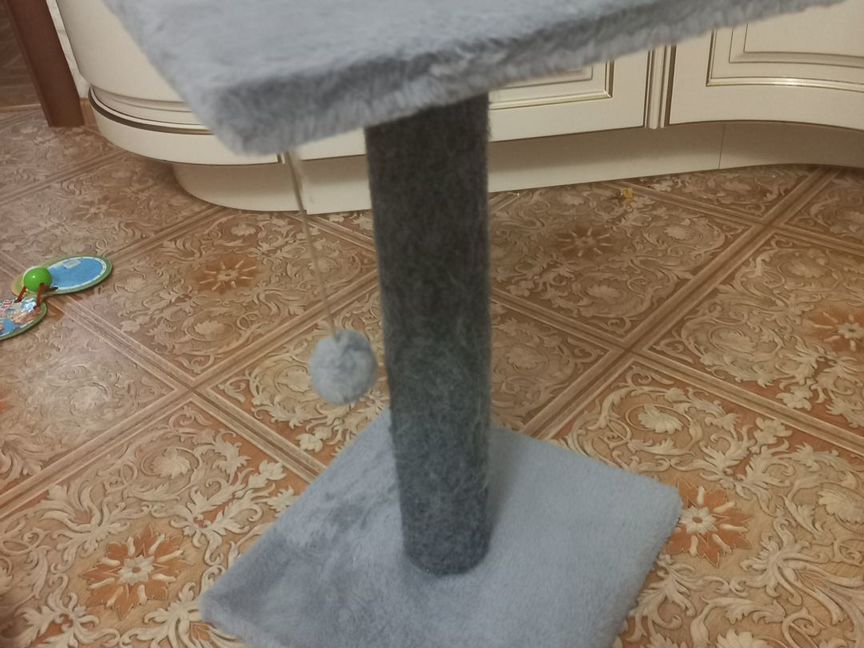 Когнеточка новая