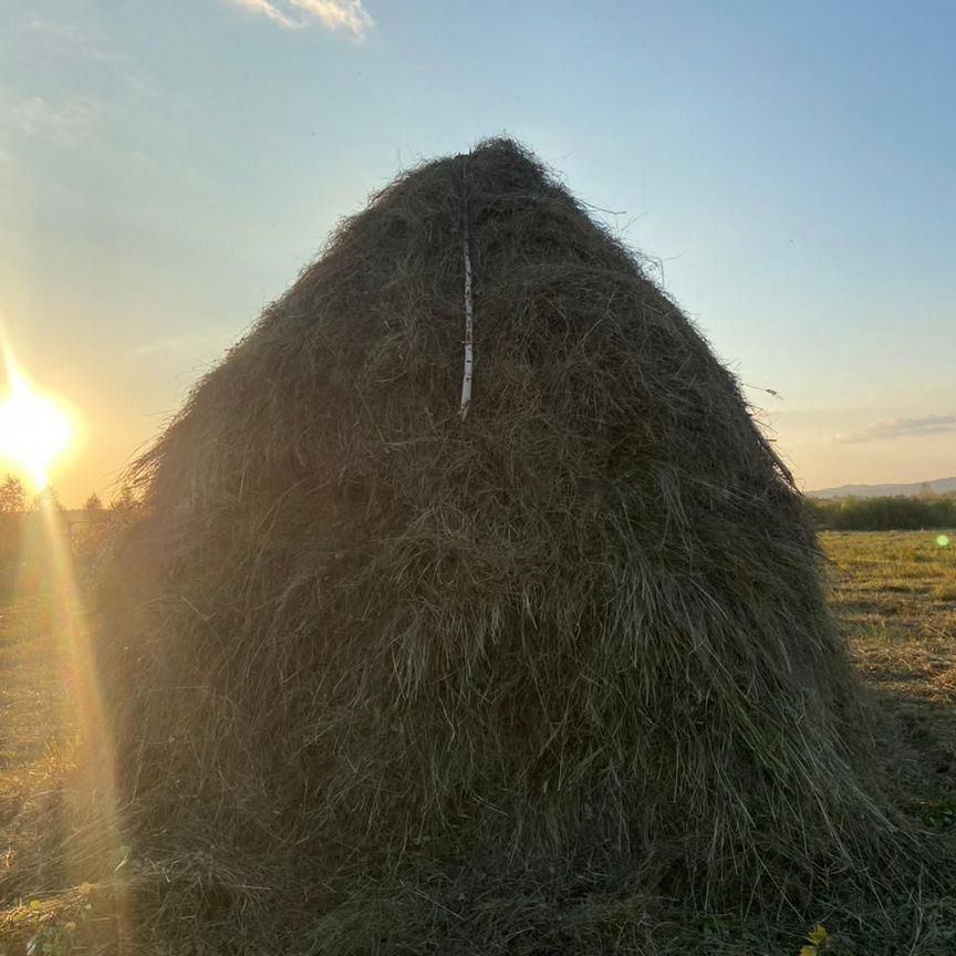 Сено стогах