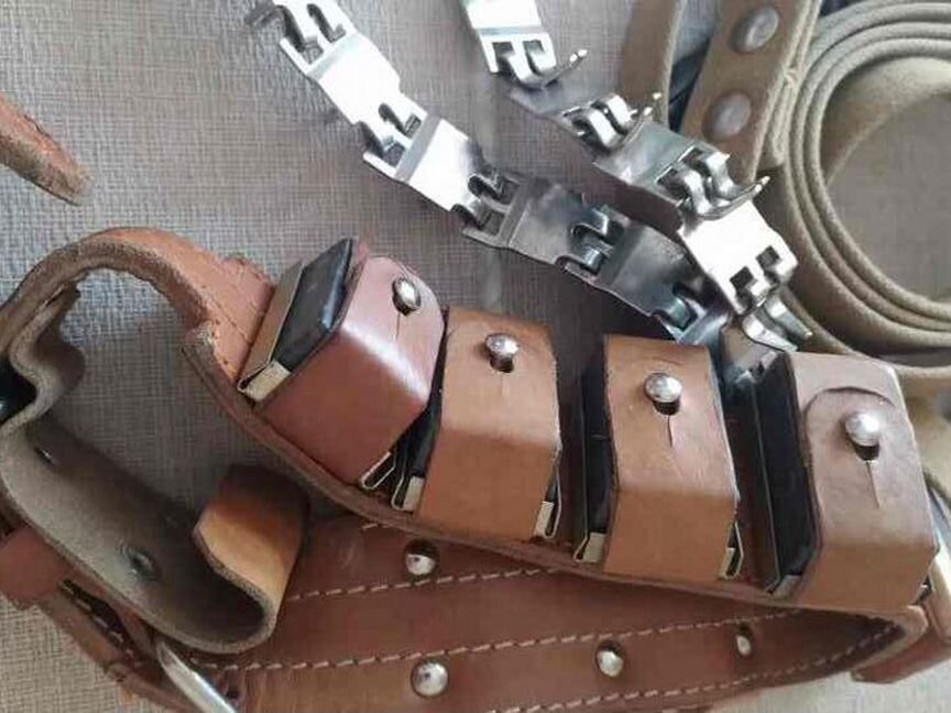 Товары для животных собак