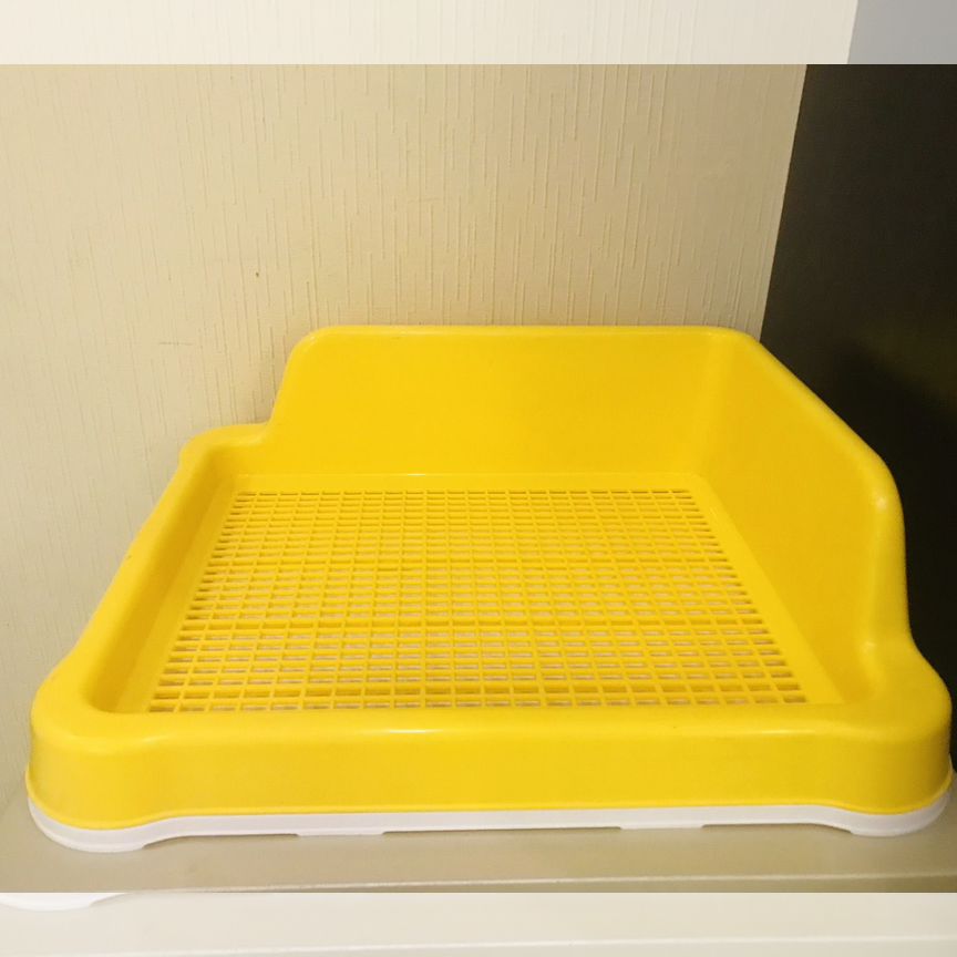 Лоток для собак