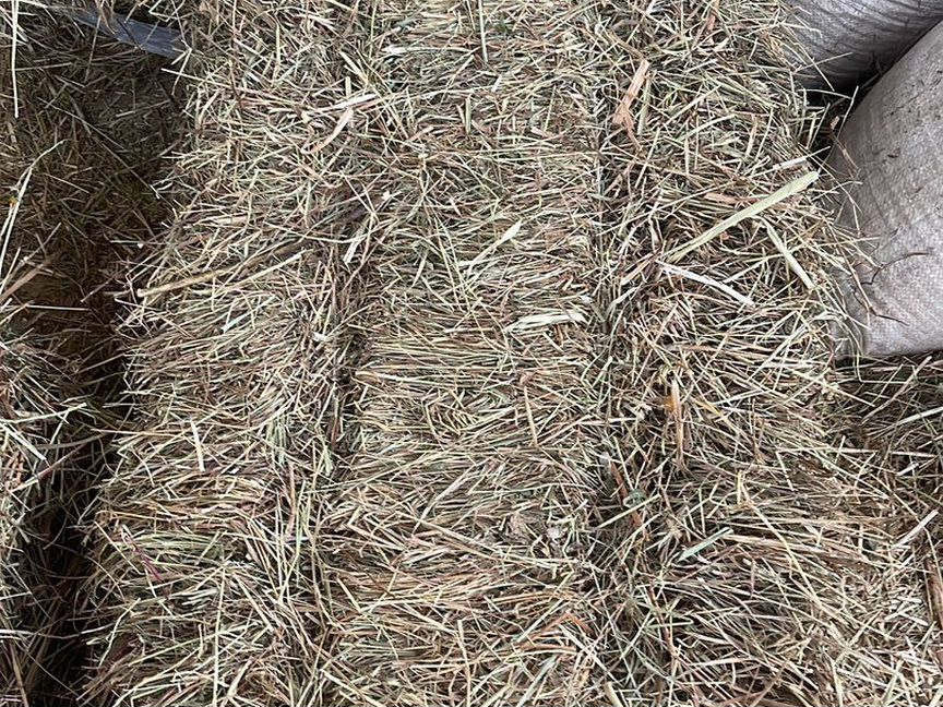 Сено в тюках