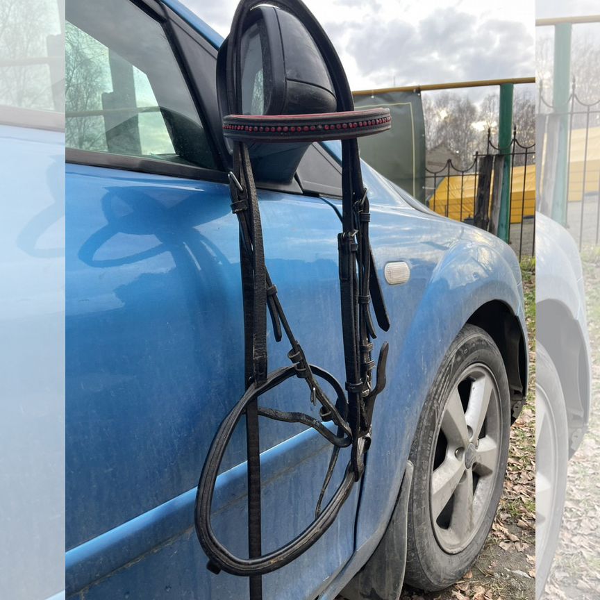 Амуниция для лошади