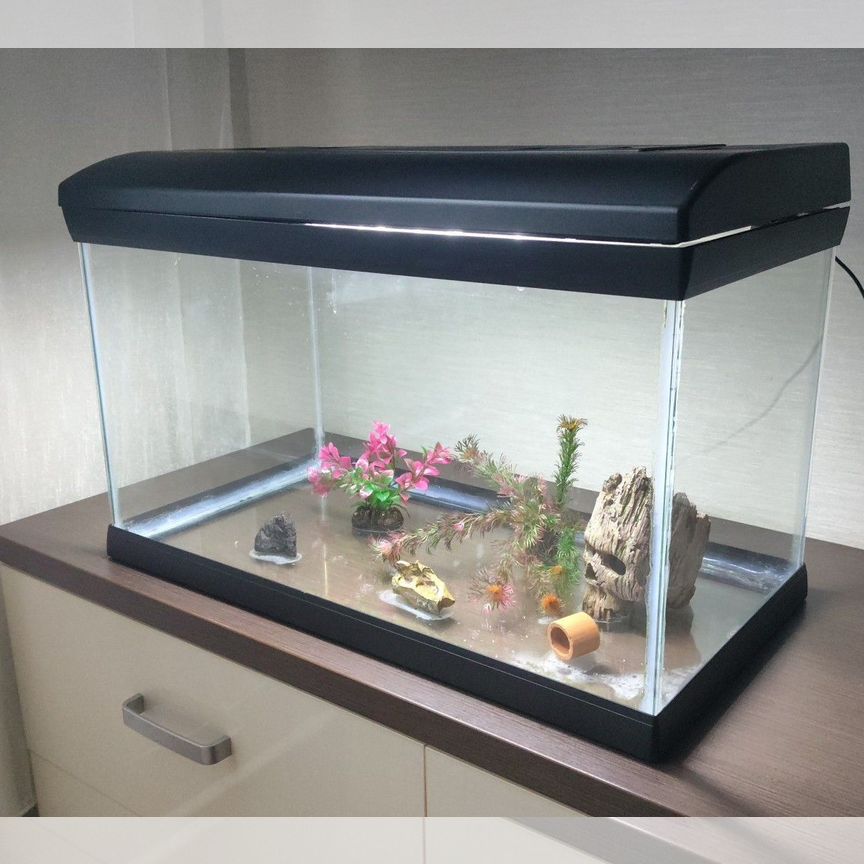 Аквариум 60 литров полный комплект для старта