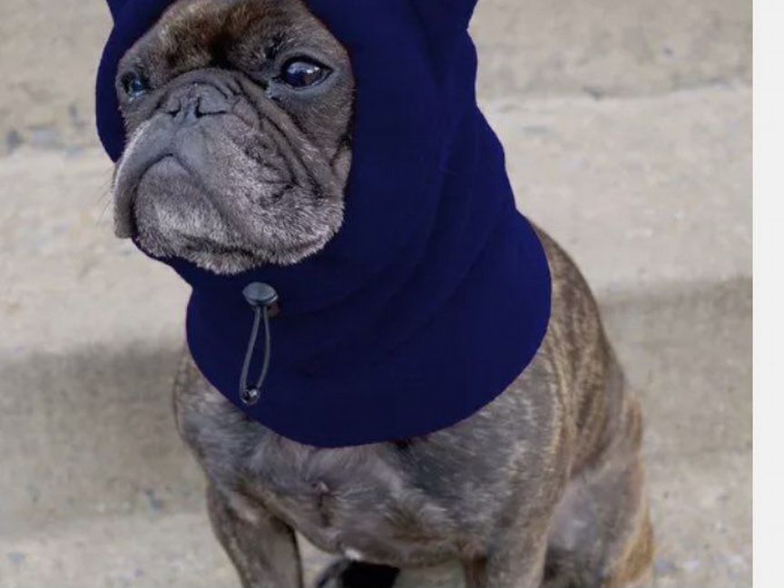 Шапки для собак