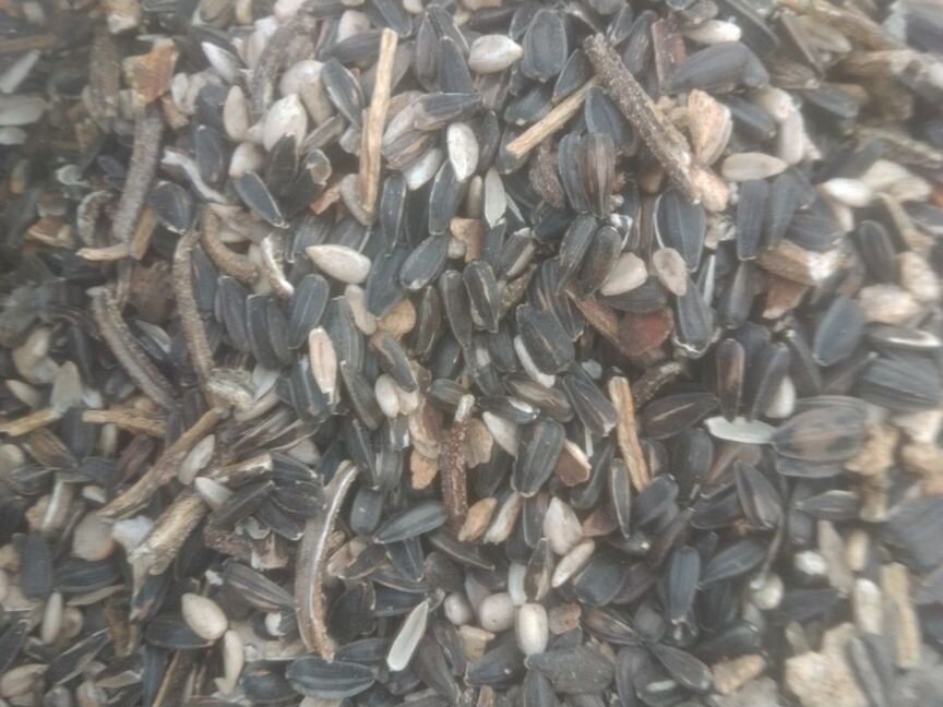 Отходы семечки