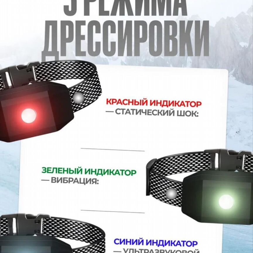 Дрессировочный ошейник для собаки