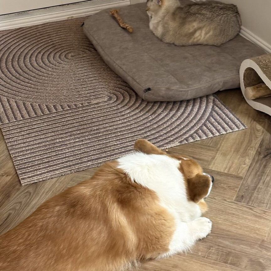 Лежанка для животных бу