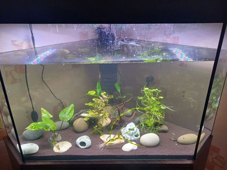 Аквариум с тумбой