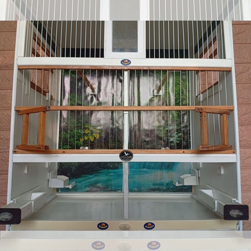 Клетки для птиц