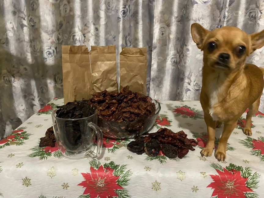 Корм для собак