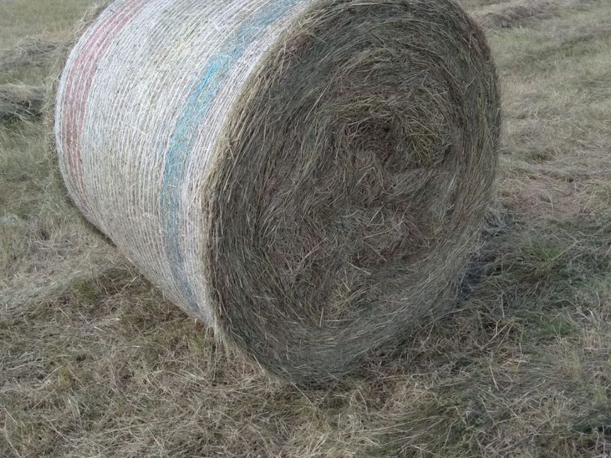Сено в рулонах
