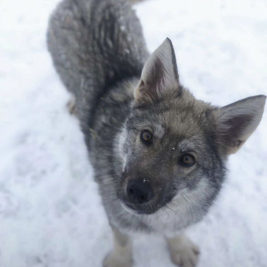 Выбери меня
