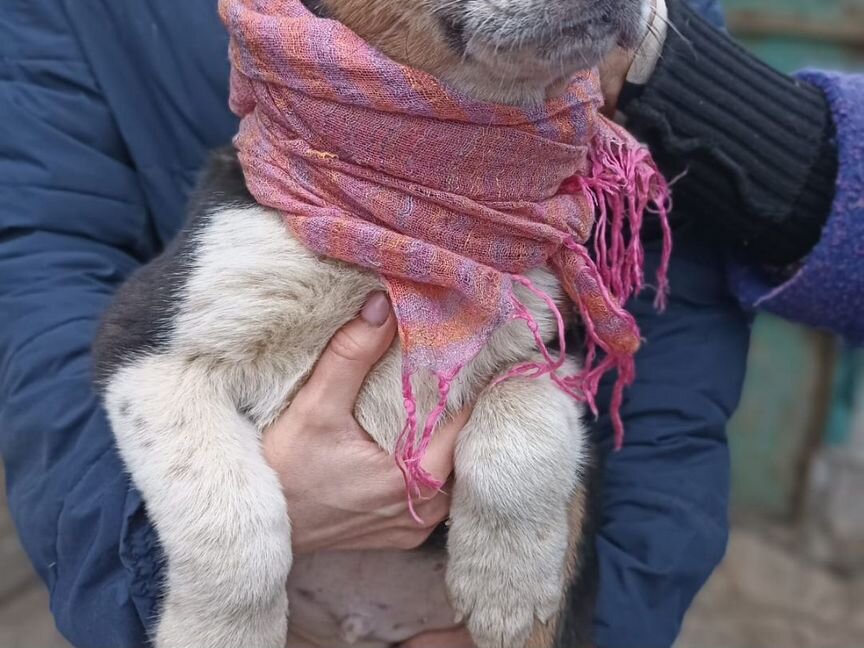 Мальчик 3 мес Мама метис