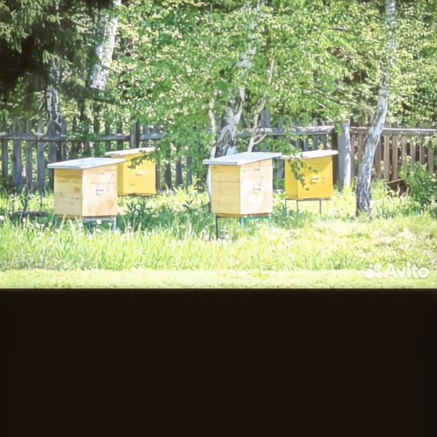 Улики для пчел бу