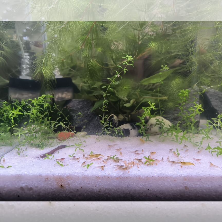 Аквариум с тумбой