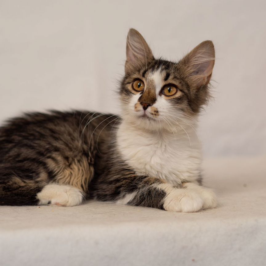 Лилу милашка