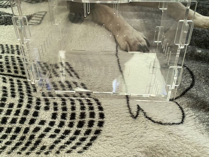 Террариум для улиток